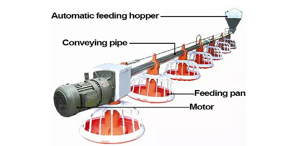 Broiler Feeding Line, chinachickencage.com