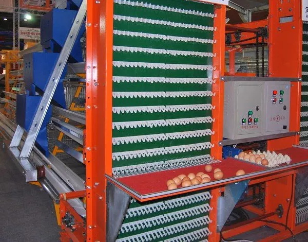 Egg Collection System, chinachickencage.com