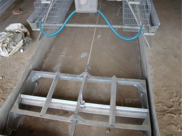 Manure Removal System, chinachickencage.com